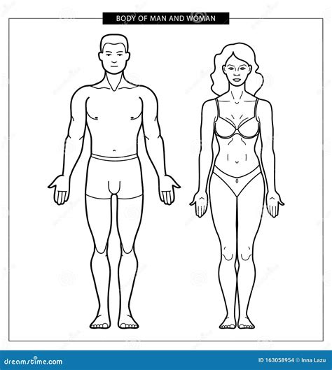 Male And Female Body Outline