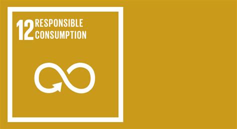 Sdg 12 Ensure Sustainable Consumption And Production