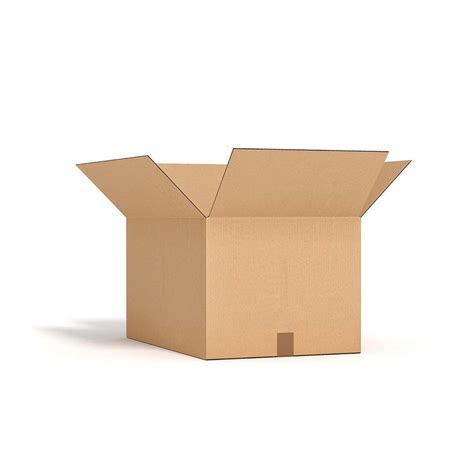 Royal Python Setup Bronze Hatchling