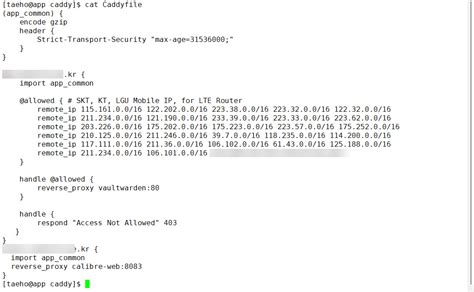 리버스 프록시 서버 Caddy에서 접속 Ip 제한하기 Taehos Life Blog