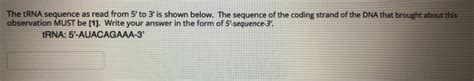 Solved The TRNA Sequence As Read From To Is Shown Chegg Com