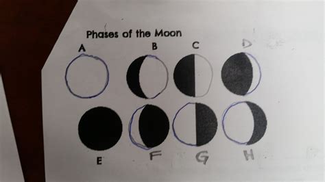 Science Final Diagram Quizlet