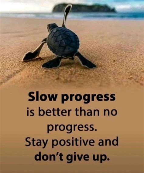 Javascript Reactjs Angular Es6 Frontend Webdevelopment Frontenddevelopment