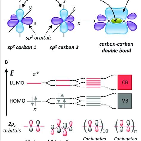 Shear Induced Polymer Nucleation A Schematic Of Microfluidics