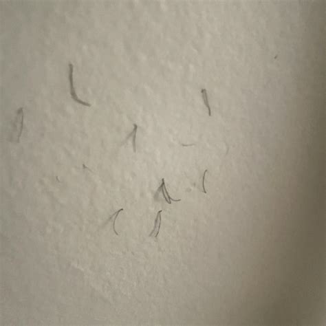 Sticky Root Bulbs😏 Rplucking