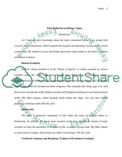 E Portfolio Assignment Essay Example Topics And Well Written Essays 250 Words