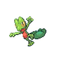 Treecko Wiki Pokémon Amino