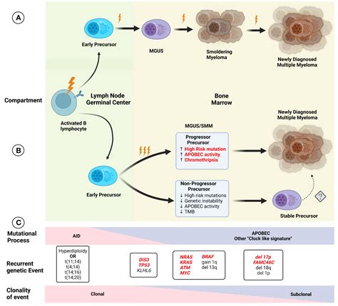 Mgus Disease Process At Bill Voigt Blog