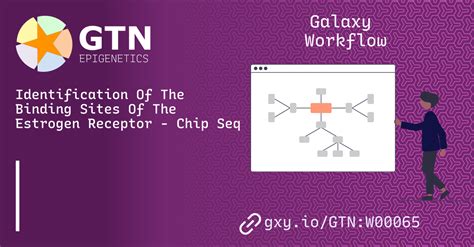 Identification Of The Binding Sites Of The Estrogen Receptor Chip Seq Identification Of The