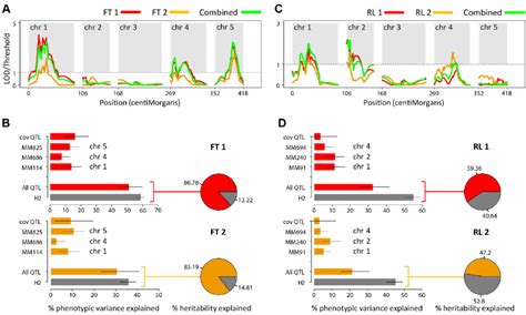Interval Mapping Results A Qtl Mapping Profiles For Two Independent