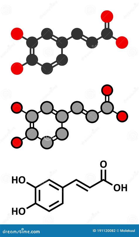 Caffeic Acid Molecule Intermediate In The Biosynthesis Of Lignin Stock Vector Illustration Of