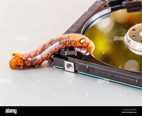 Malicious Computer Worm Concept For Data Security Stock Photo Alamy