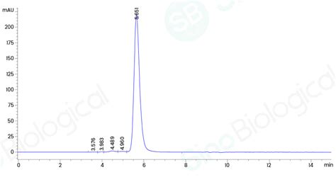 Recombinant Human Ilt2 Lilrb1 Protein 16014 H49h B Sino Biological
