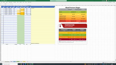 Ms Excel Spreadsheet Template Bmi Body Mass Index Blood Pressure