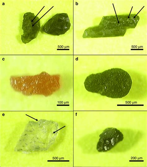 Optical Microscope Micrographs Of Different Objects From The Studied
