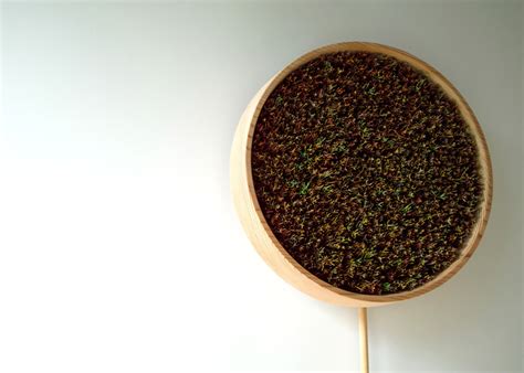 Brils Coniferous Clock Is Filled With Leaves That Take A Year To Die