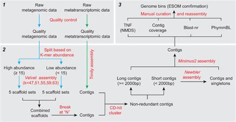 A Schematic Flow Chart Depicting The ‘divide And Conquer Strategy For