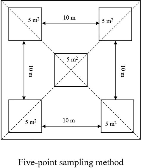 five point sampling method download scientific diagram