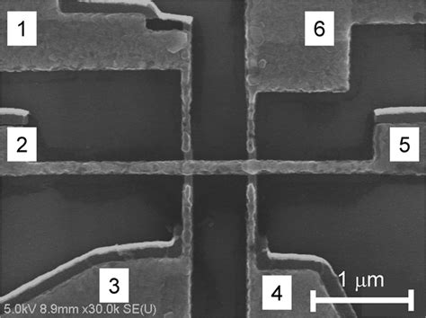 Scanning Electron Microscope Sem Image Of Fabricated Lateral Spin Download Scientific Diagram