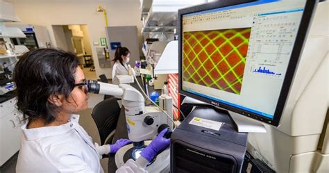 A New Algorithm That Can Accurately Track Icu Patients Level Of