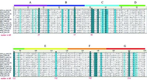 Figure S2 Sequence Alignment Of The 7tm Regions Of 13 Mrs In Set 3 Download Scientific