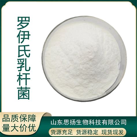 罗伊氏乳杆菌 食品级益生菌原料 固体饮料 冻干型乳酸菌粉