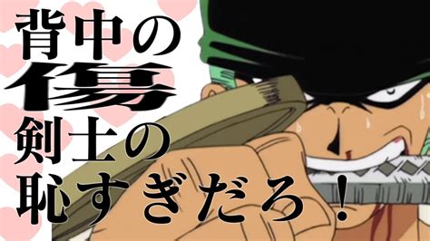 ワンピース背中の傷は剣士の恥すぎだろ黄猿合作単品 YouTube