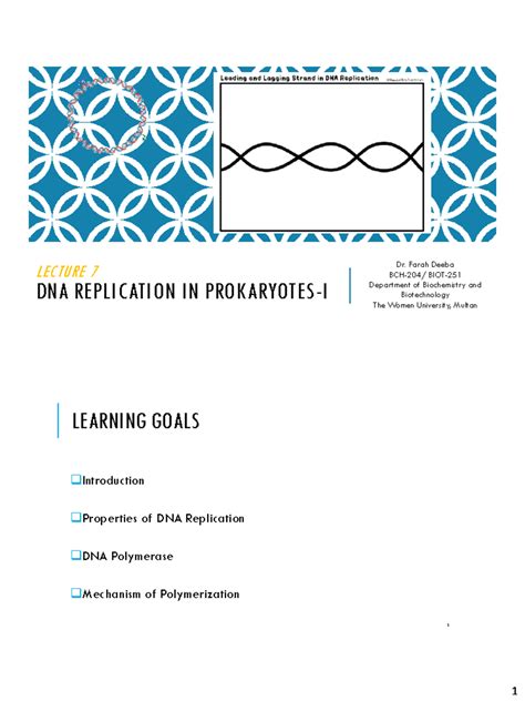 7 Replication In Prokaryotes I Lecture 7 Dna Replication In Prokaryotes I Dr Farah Deeba