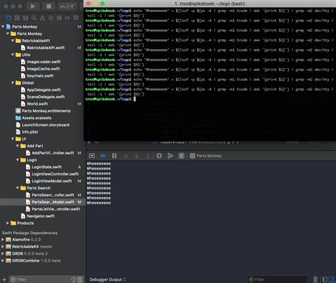 objective c force write to xcode debugger output in console stack overflow