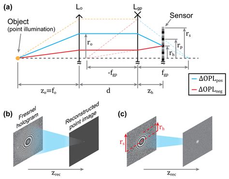 A Schematic Optical Diagram Of The Analyzed System B C Conceptual Download Scientific
