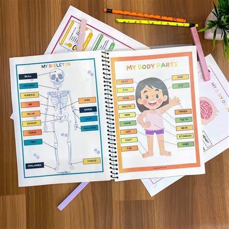 Outil étude Médecine Infirmière Cahier Dexercices Anatomy Label Lab
