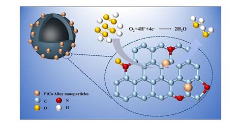 Effect Of Nitrogen Containing Carbon Shell Coated Carbon Support On The