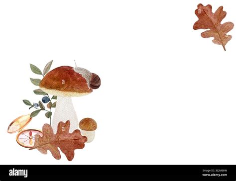 Boletus Mushrooms Compass Oak Leaf Blueberry Branches And Snail