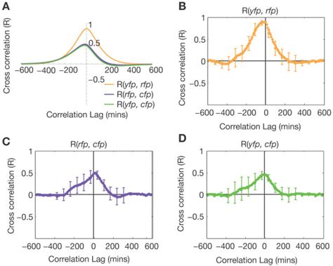 The Cross Correlation Function Reveals Regulatory Connections A A Download Scientific