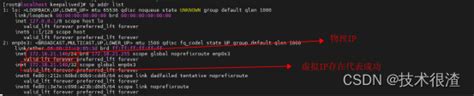 高级运维工程师教你keepalived高可用实现mysql集群双活实战全网最详细keepalived Mysql Csdn博客