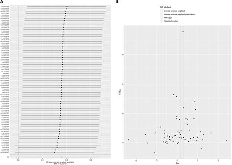 Leave One Out Permutation Analysis Plot A And Funnel Plot B Of Bmi