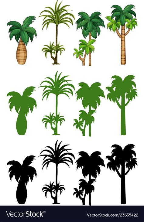 Set Of Palm Tree Design Royalty Free Vector Image