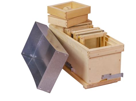 Modular Frame 3x12 Dadant Hoffman