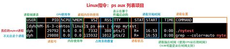 【linux】进程概念——进程本质与pcb（进程控制块）
