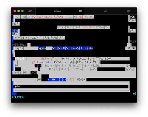 Debian How To Get Tui Apps Showing Up Properly With Gnu Screen