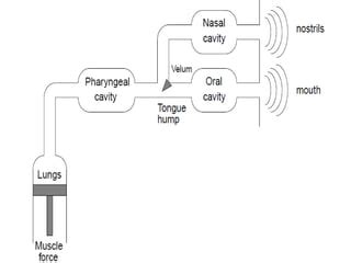 Speech Recognition Final PPT