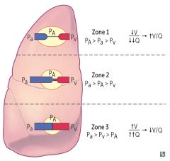 Week 12 Physiology Erexam
