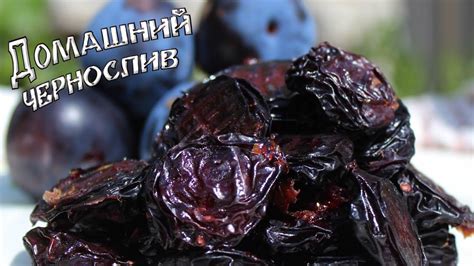 Как заготовить чернослив. Сушеные сливы на зиму собственными руками ...