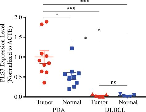 Rt Qpcr Validation Of Differential Pls3 Expression In Tissue Specimens Download Scientific