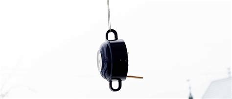 Vogelfutter Selbst Herstellen Mit 5 Zutaten