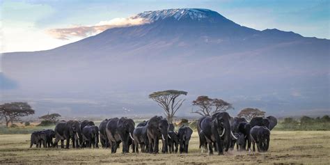 Top 20 Biggest Landmarks In Africa 2022