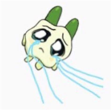 Go 집 하는 걸 고집하기 네이버 블로그