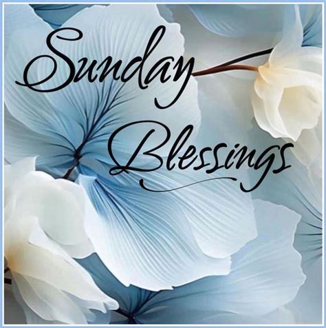 Good Morning Beautiful Sunday Blessings Have A Blessed Sunday 
