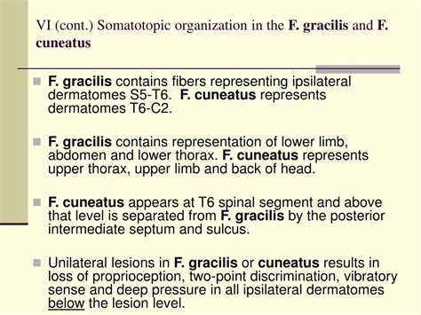 Ppt Proprioception And Discriminative Touch Dorsal Column Medial Lemniscus System Powerpoint