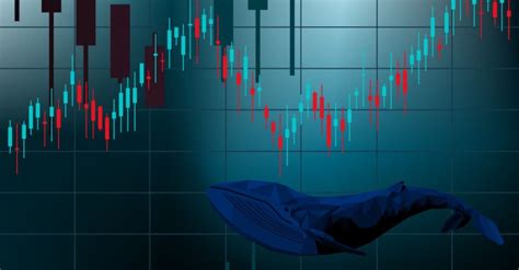 Ünlü Balinadan Altcoin Tahminleri Coin İsimleri Verdi